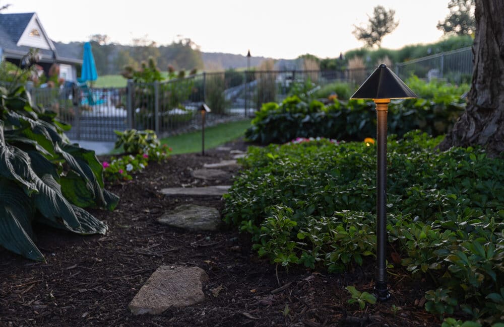 About the Light Fixer and the Light Fixers Company