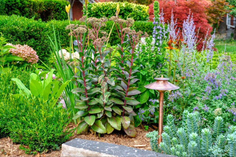 How to Keep Landscape Lights from Tilting | Light Fixers